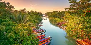 How Nature Shapes Daily Wellness Habits in Jamaica - Cookies Jamaica